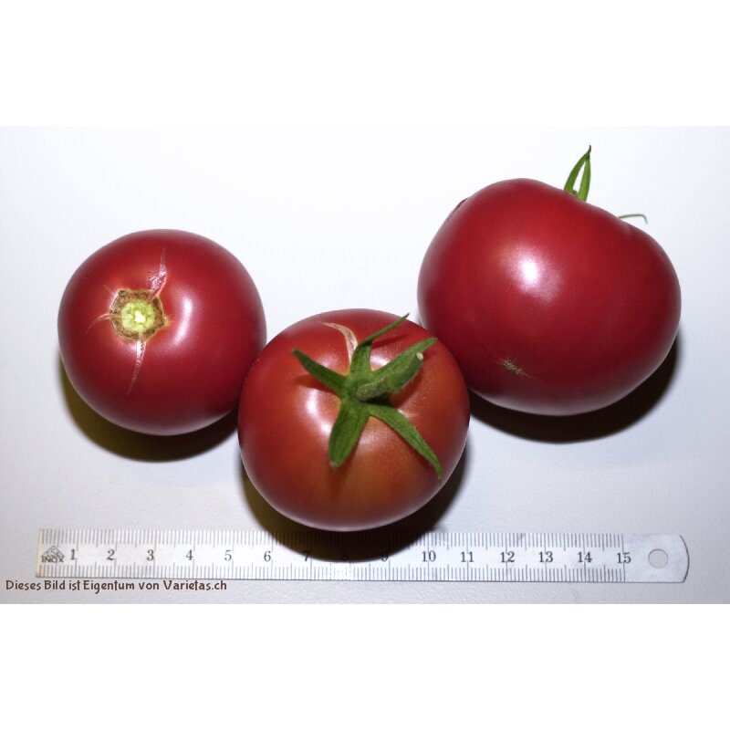 Berner Rose, 4,50 CHF